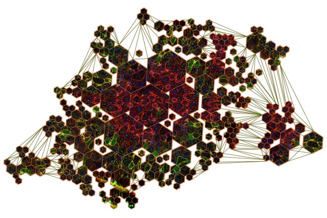 The Symbiosis – living together – The Landscape