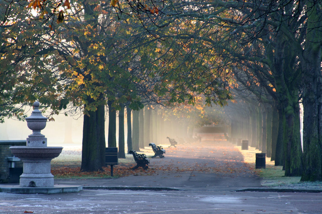 Unique work with Royal Parks – The Landscape